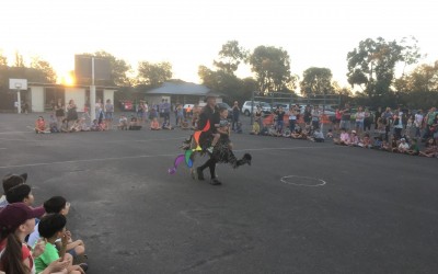 Amsleigh Park PS Bush Dance 2018 | Amsleigh Park Primary School